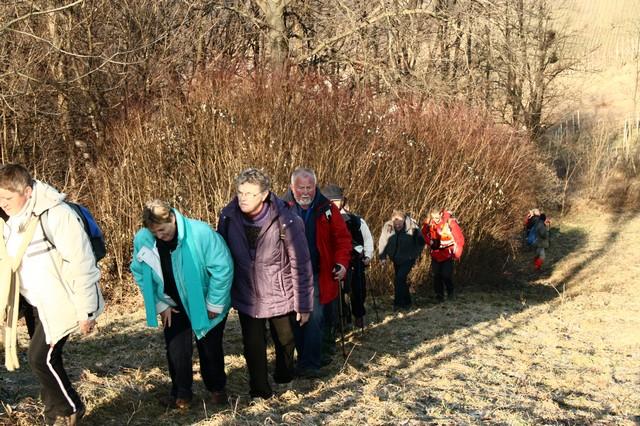 Trsek moj, zbudi se, bum te vrezal: PD Bundek Vas nagrađuje ...