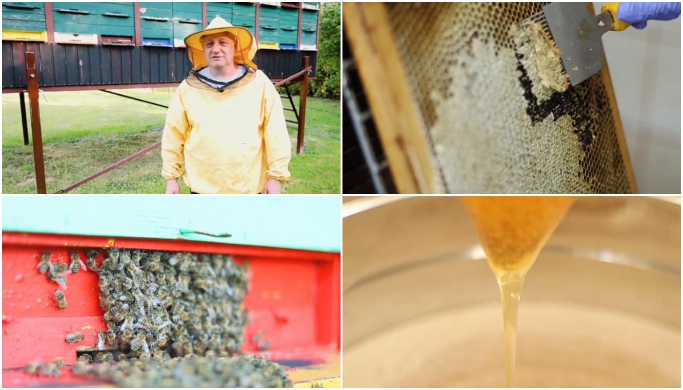 VIDEO Kako nastaje med? Posjetili smo obitelj Dobranić i doznali sve o ...