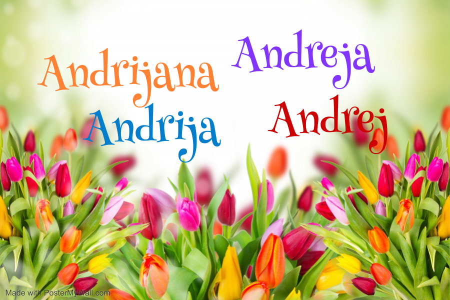 DANAS JE NJIHOV DAN Imendan slave osobe imena Andrija, Andrijana ...