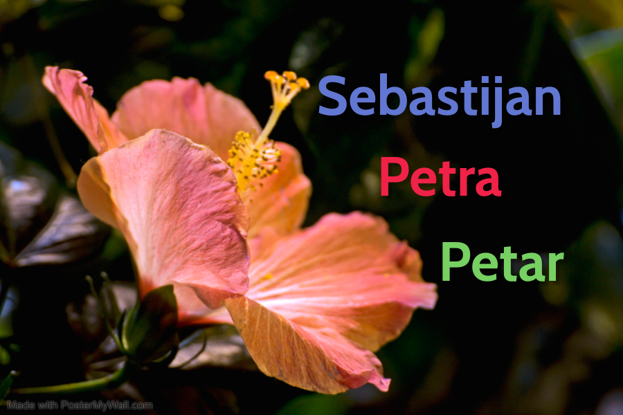 DANAS JE NJIHOV DAN Imendan slave osobe imena Sebastijan, Petar i Petra ...