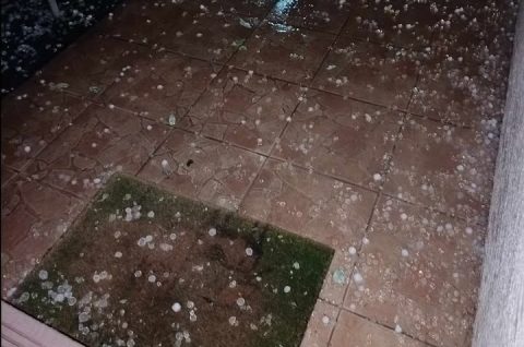 POSLJEDICE NEVREMENA Najgore je stradao Mađerkin breg, na trsu ni ...