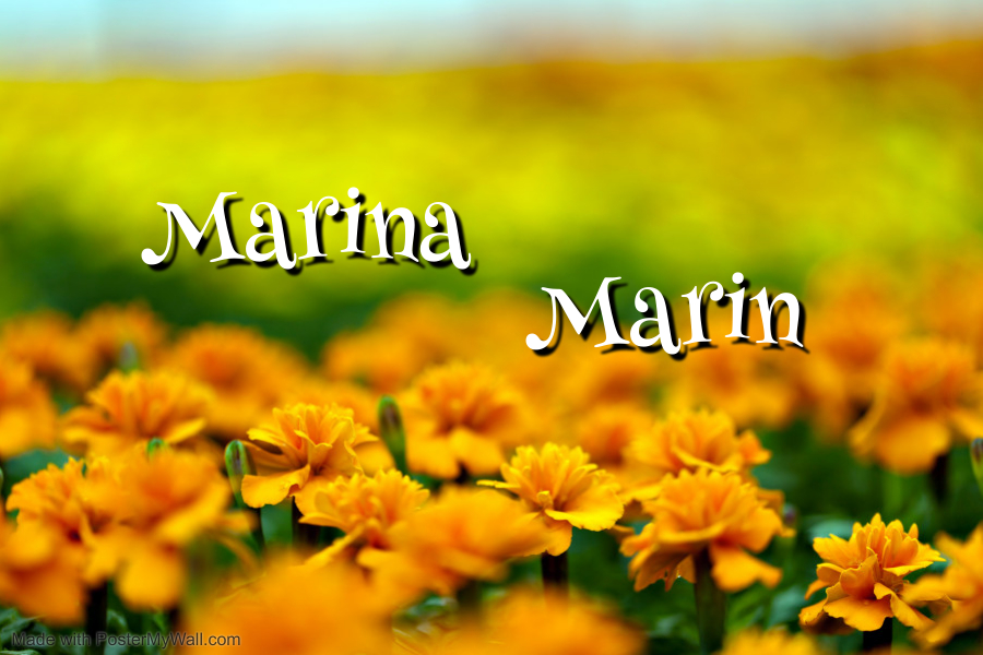 DANAS JE NJIHOV DAN Imendan slave osobe imena Marina i Marin ...