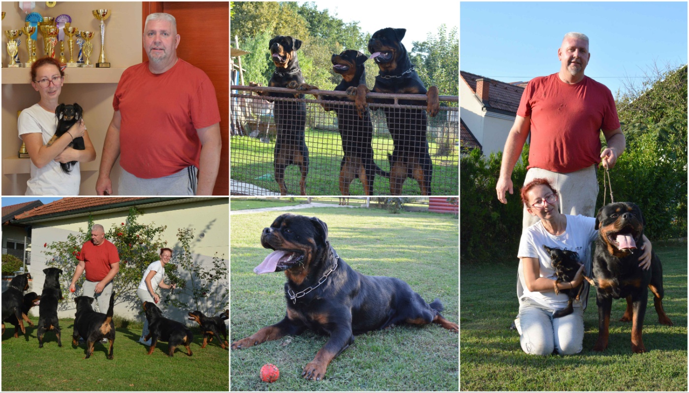 OBITELJ MIKAC IZ MIHOVLJANA Vlasnici jedinstvene uzgajivačnice ...