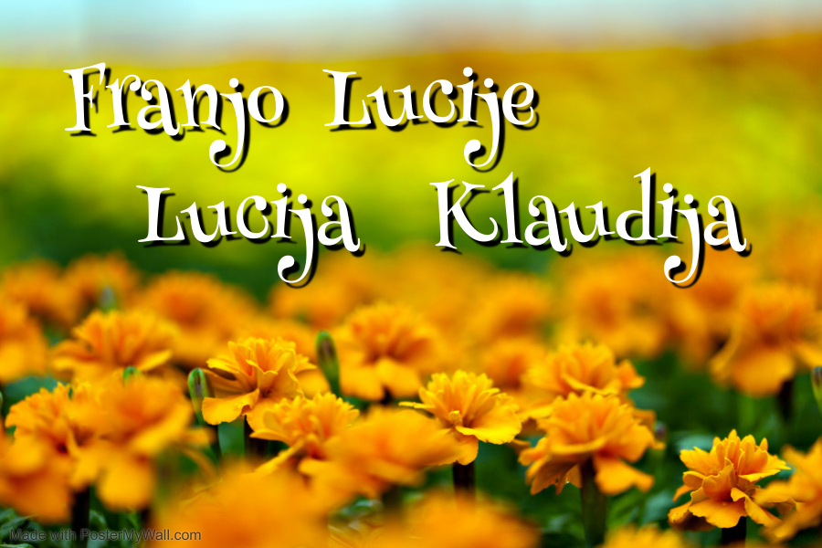 IMENDANSKE ČESTITKE Danas imendan slave osobe imena Franjo, Lucija ...