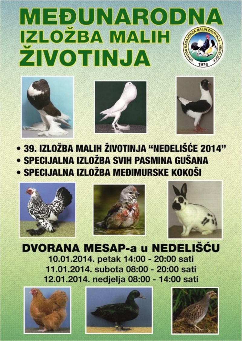 Danas počinje 39. Međunarodna izložba malih životinja - eMedjimurje.hr