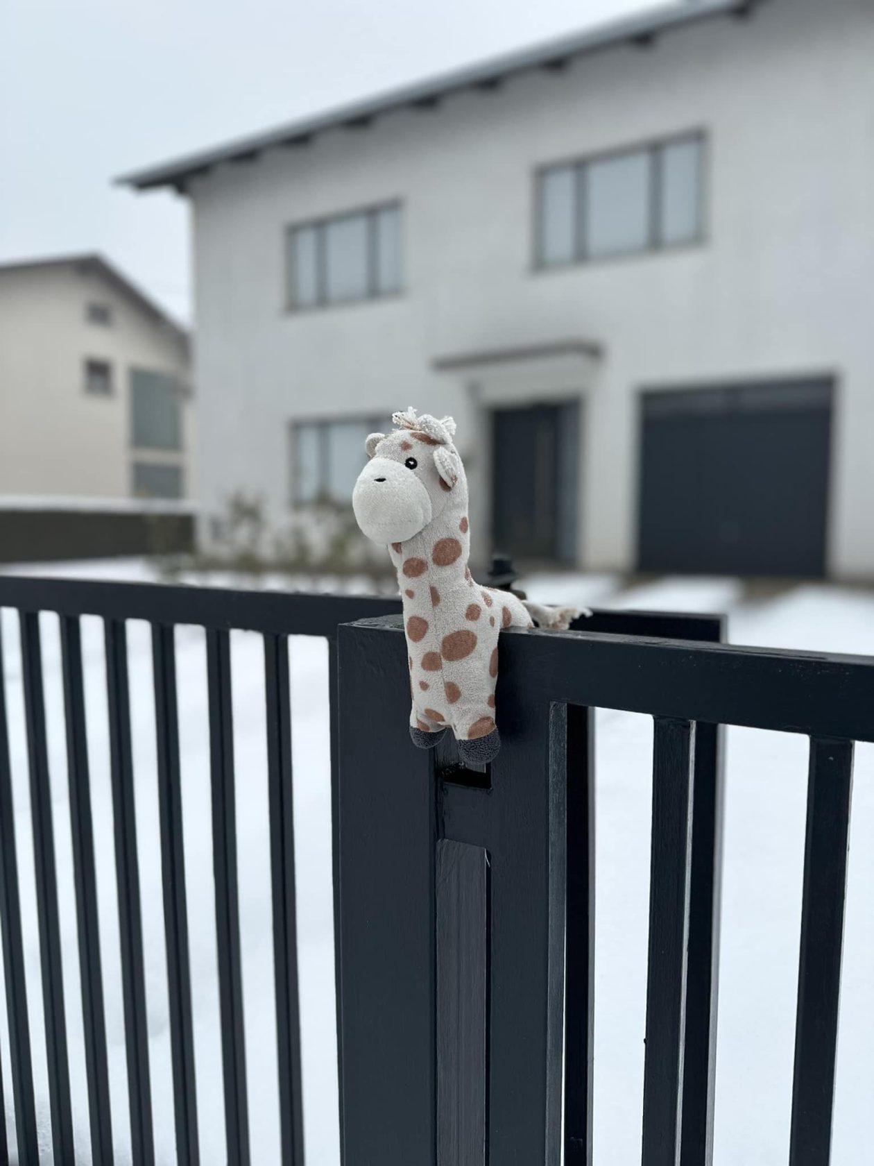 PLIŠANA ŽIRAFA Čeka svog vlasnika u Čakovcu - eMedjimurje.hr